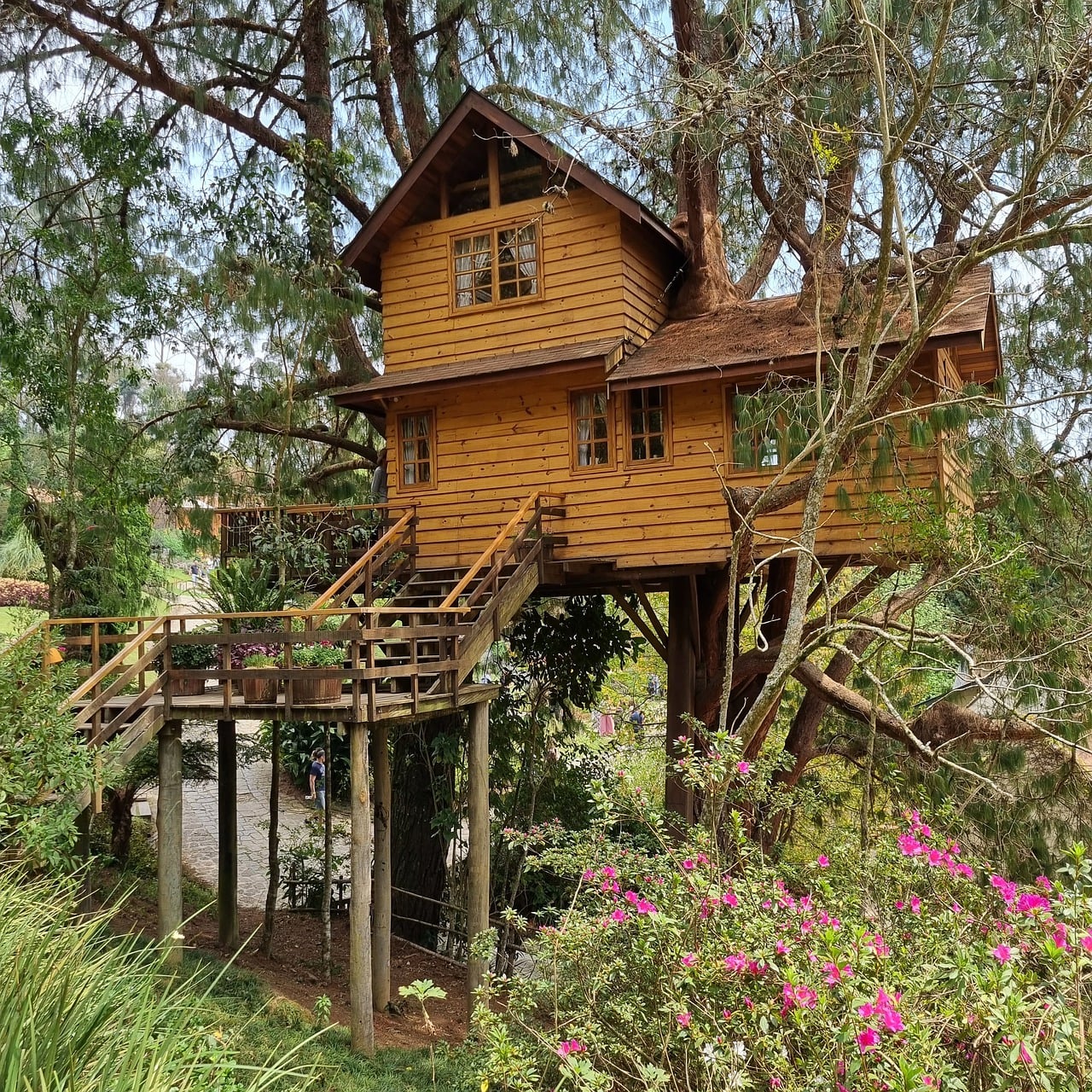 Hoer Verde, Brazil: The Mystery Of The Town That Disappeared