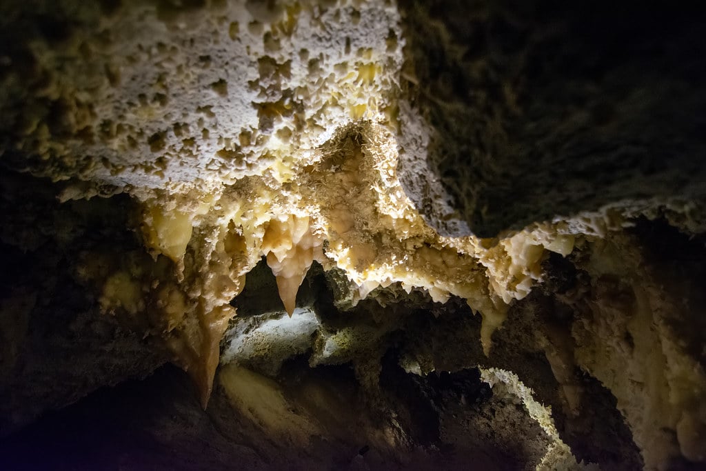 Ted The Caver & The Mystery Cave: The Creepypasta & The Truth Behind It